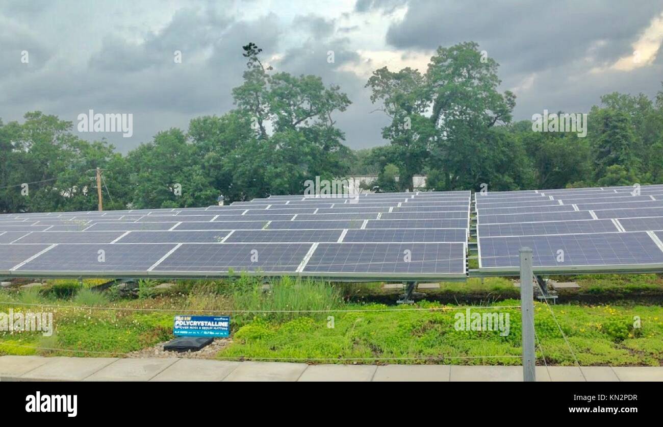 Rows of polycrystalline solar array panel farm August 6, 2017 near ...