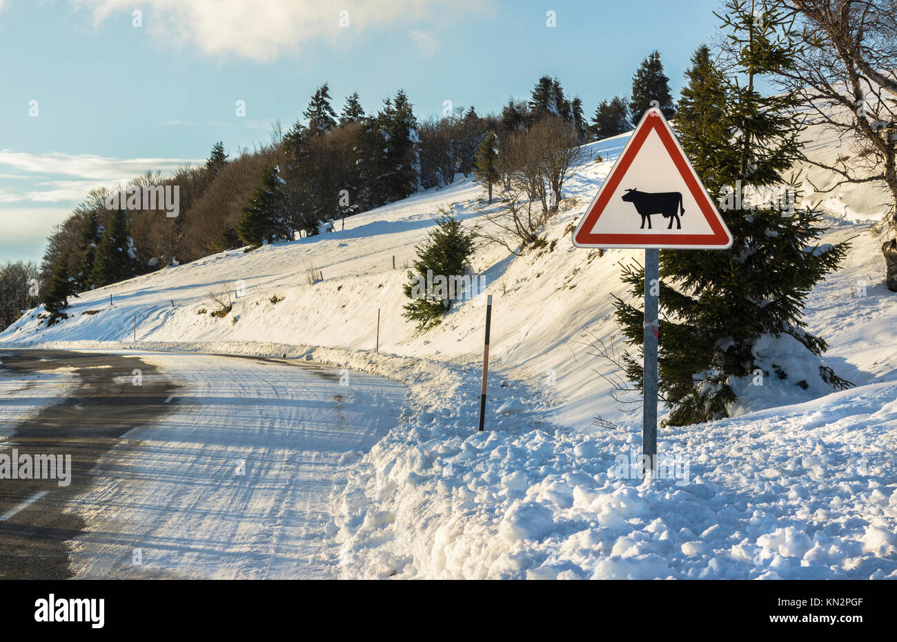 A triangle shaped warning sign with a designed black cow on its center ...