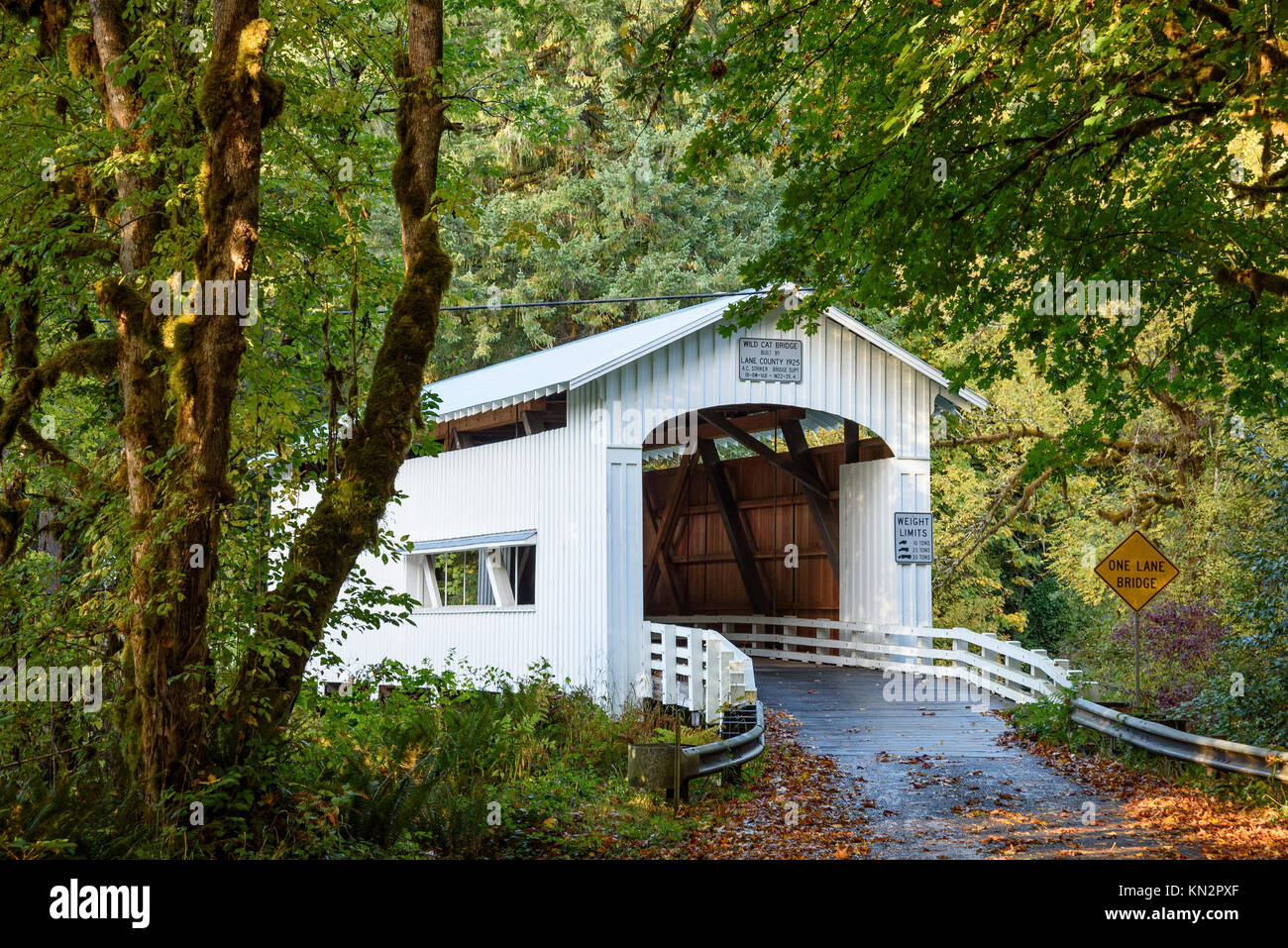 Wildcat Bridge, also known as the Austa Bridge, on Wildcat Creek at the ...