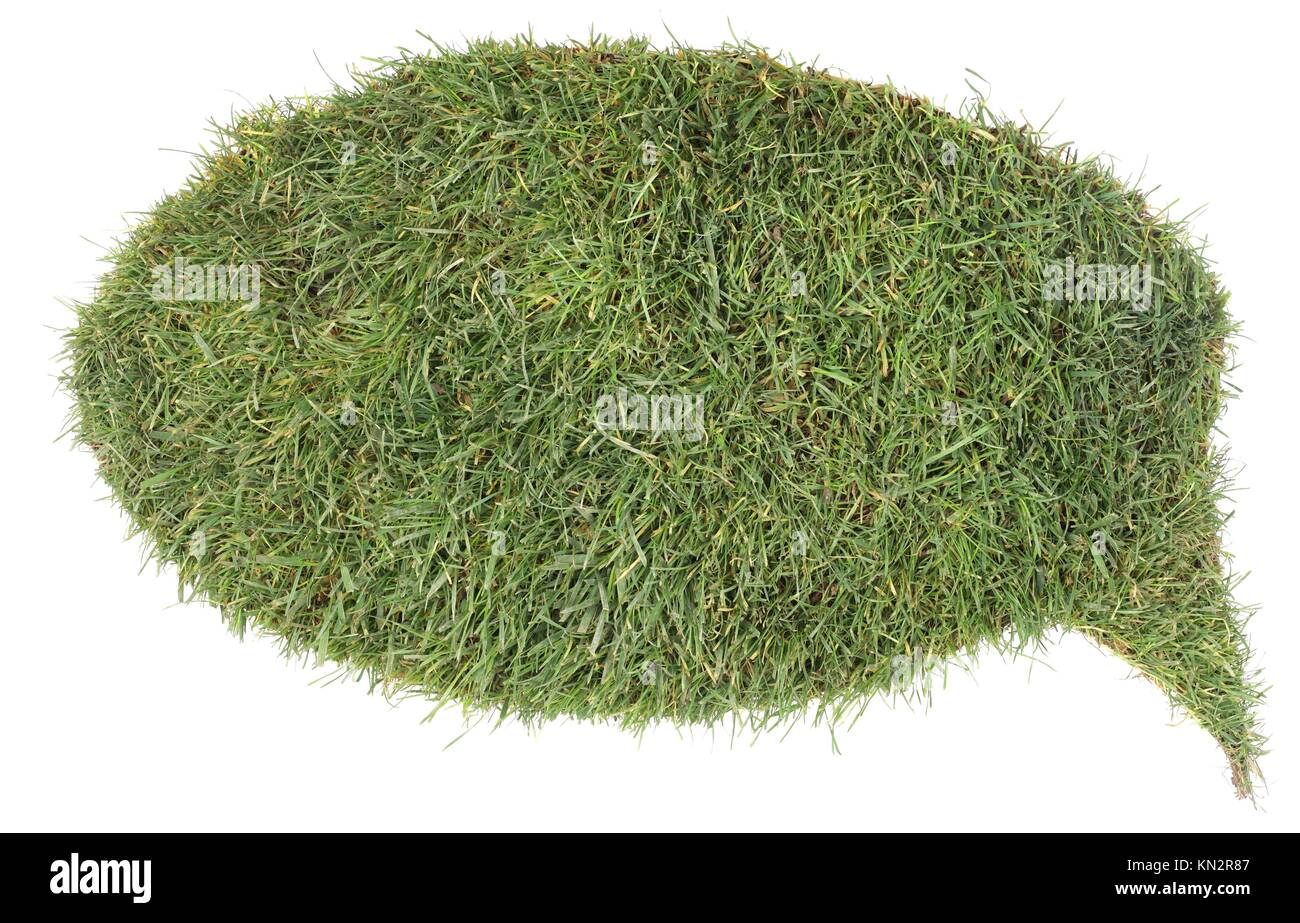 Thinking Green Concept Isolated on White Background Stock Photo - Alamy