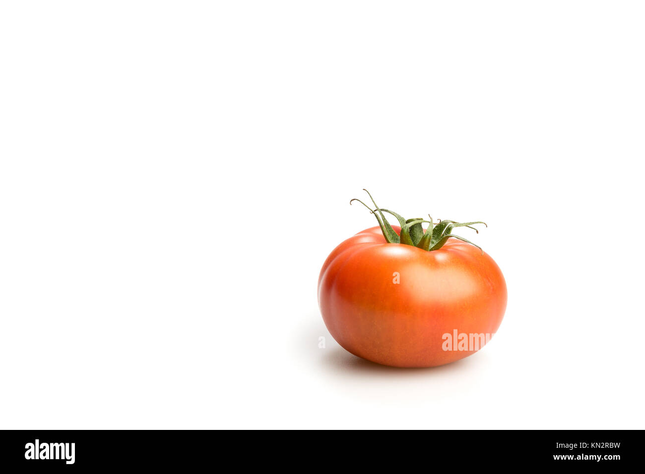 One realistic looking fresh red tomato isolated in a white background ...