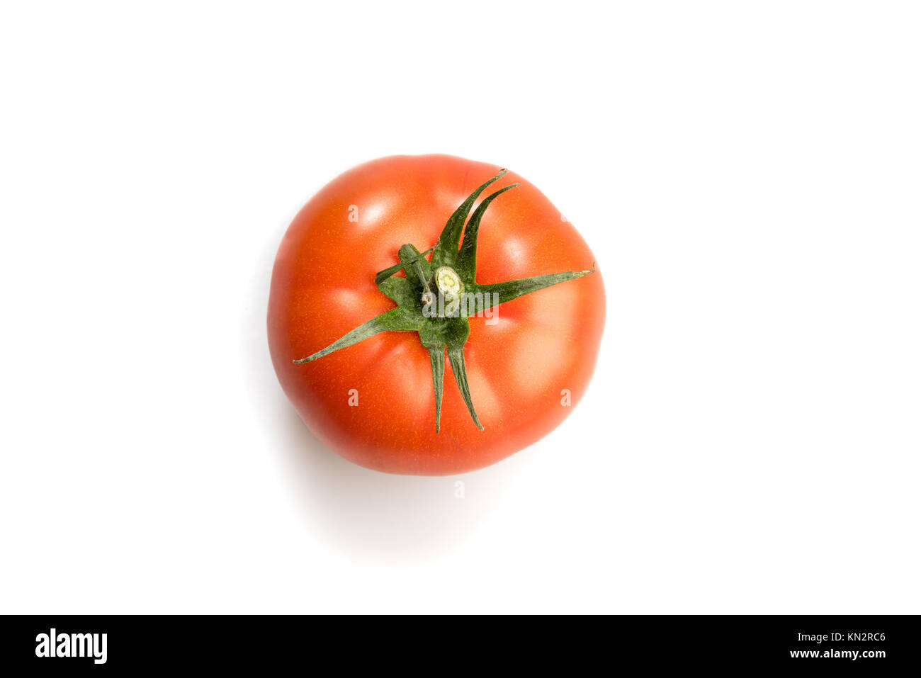 One realistic looking fresh red tomato isolated in a white background ...