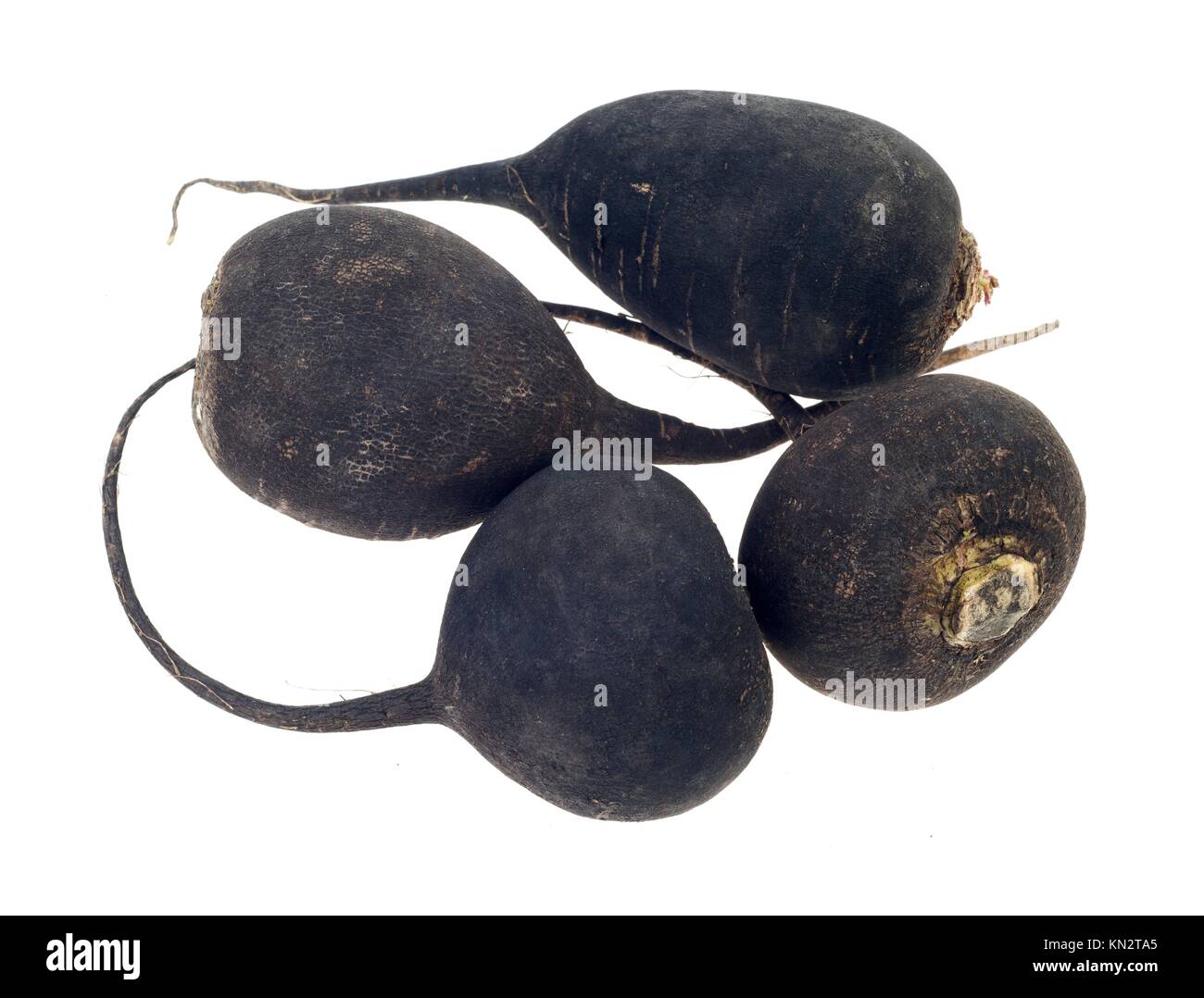 Black Radish, turnip, isolated on white Stock Photo - Alamy