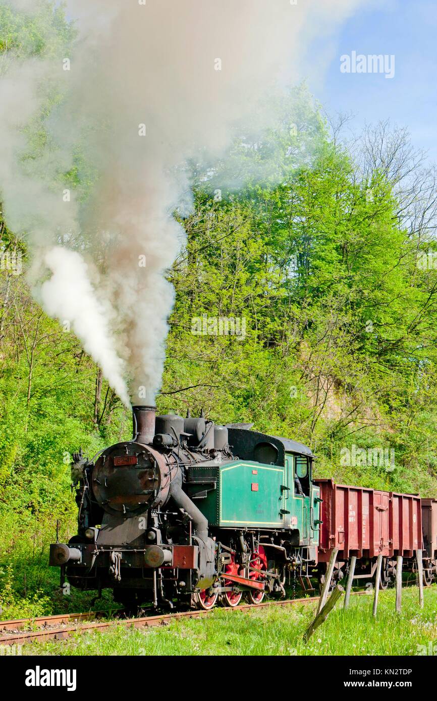 Steam Freight Train High Resolution Stock Photography and Images - Alamy