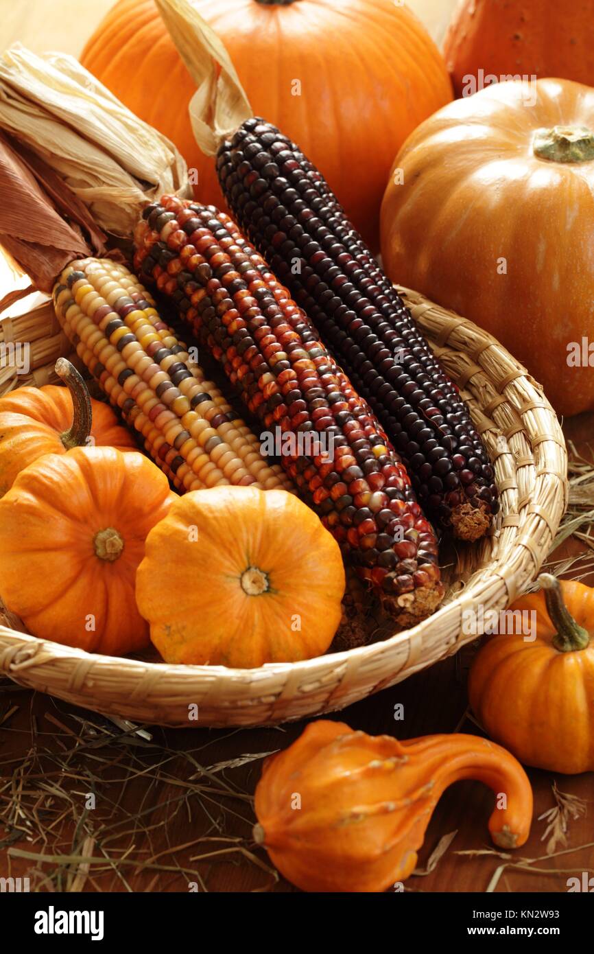 Indian corn basket hi-res stock photography and images - Alamy
