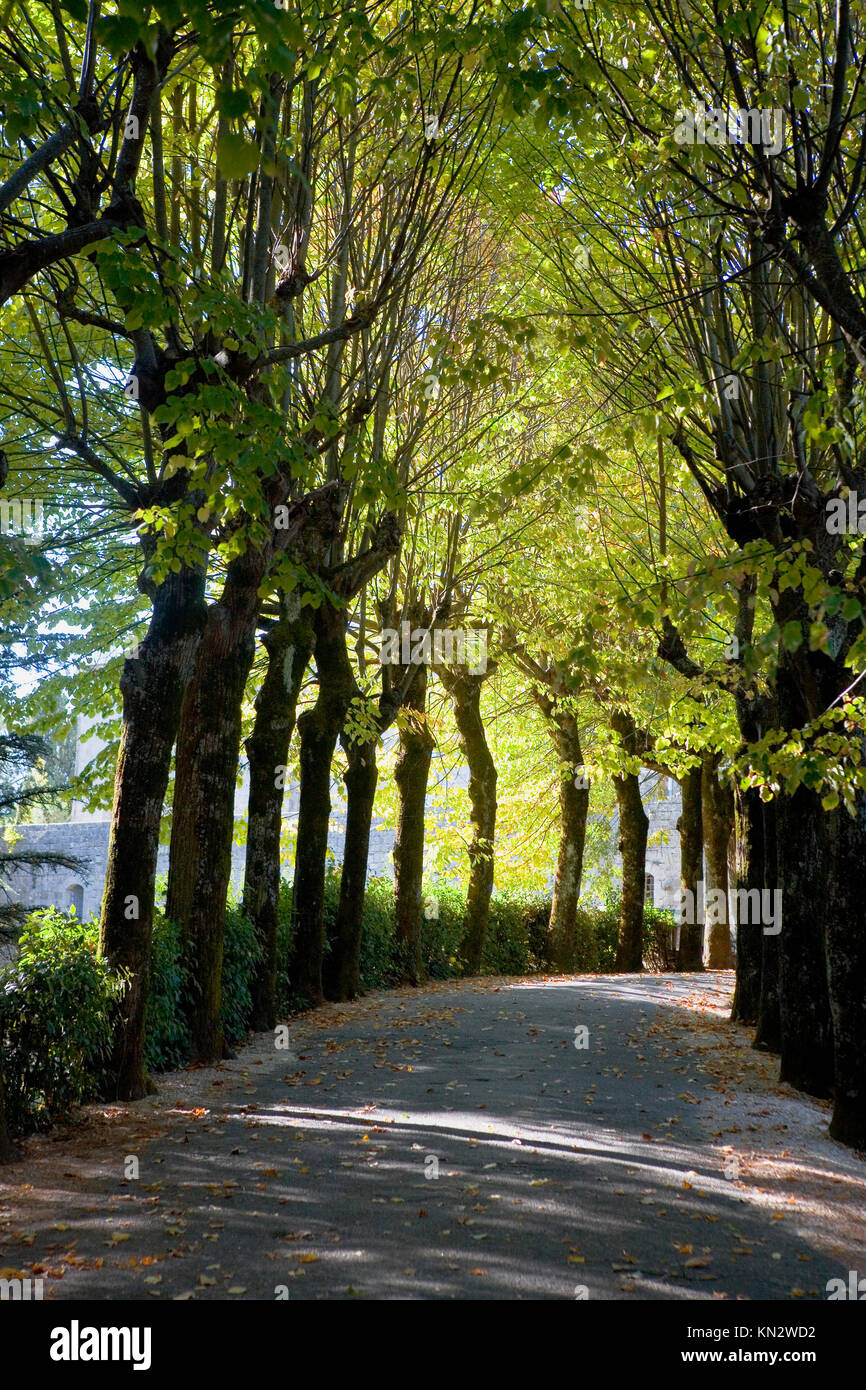 The tree-lined path through the public garden to the Fortezza ...