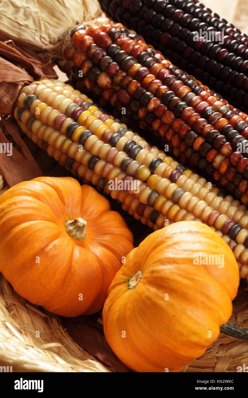 Indian corn basket hi-res stock photography and images - Alamy