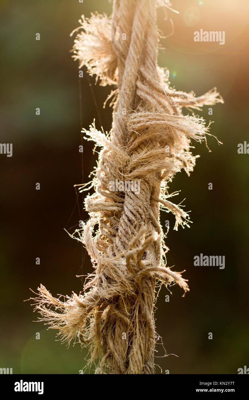 Close view of an ripped old rope Stock Photo - Alamy