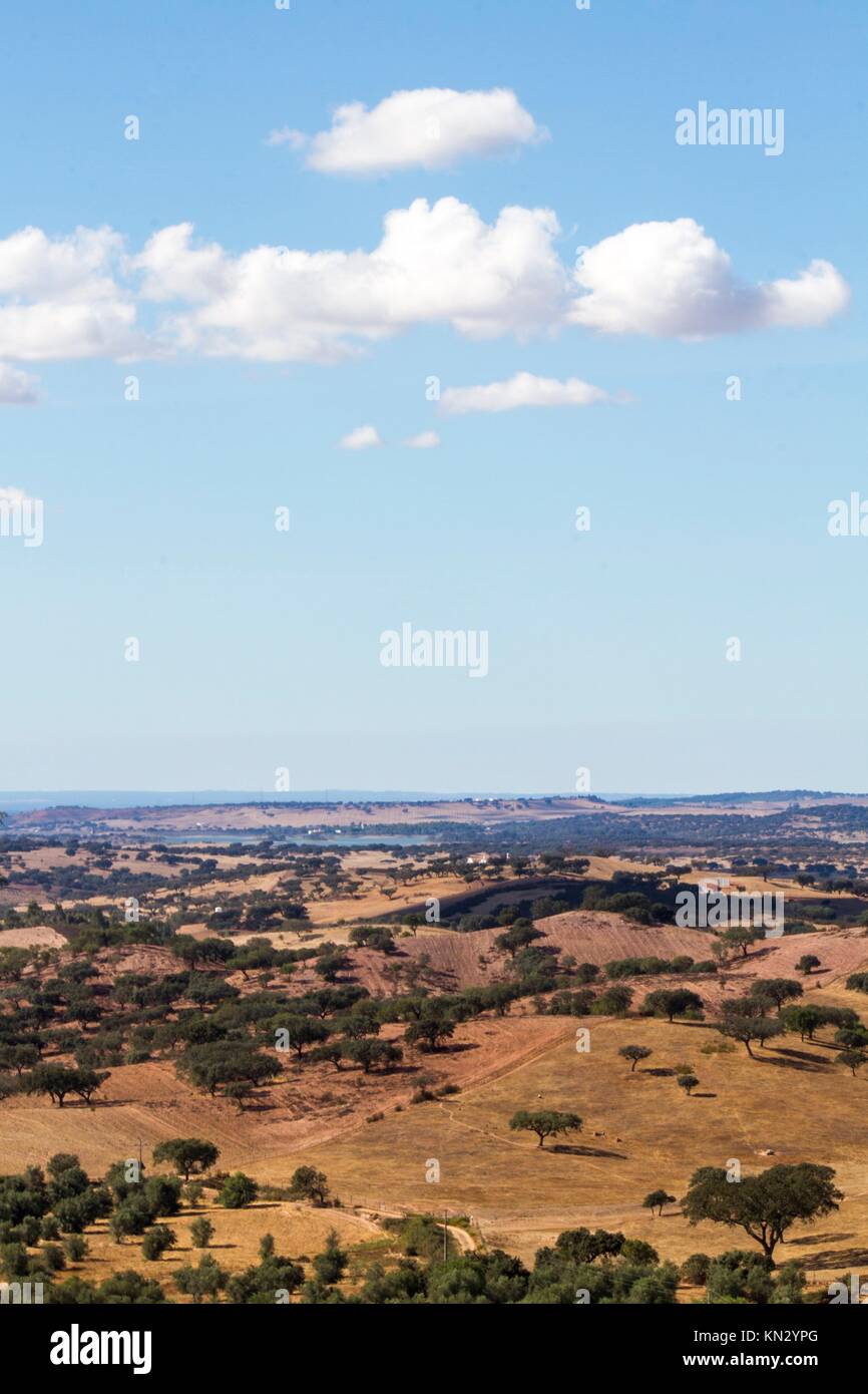 View of a typical Alentejo dry landscape located in Portugal Stock ...