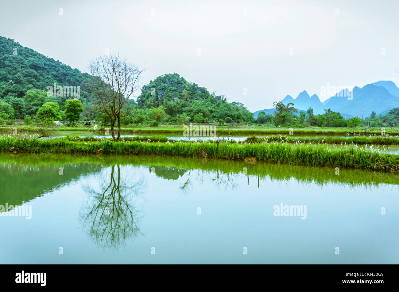 Countryside scenery in spring Stock Photo - Alamy