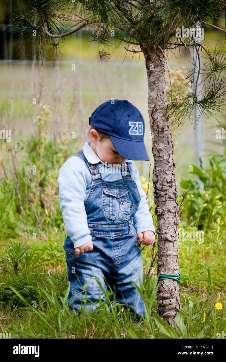 Child walking tree hi-res stock photography and images - Alamy