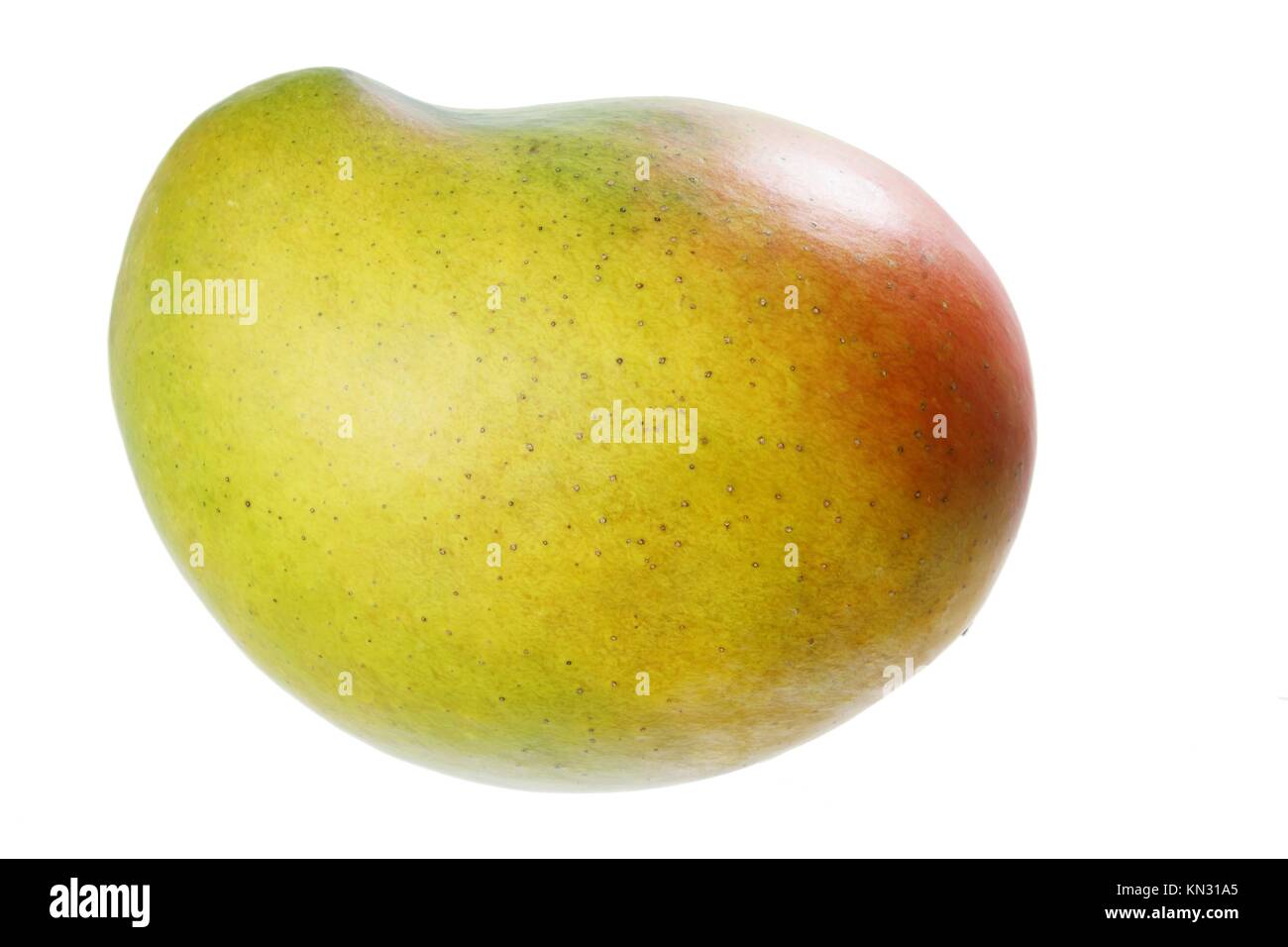 Mango on White Background Stock Photo - Alamy