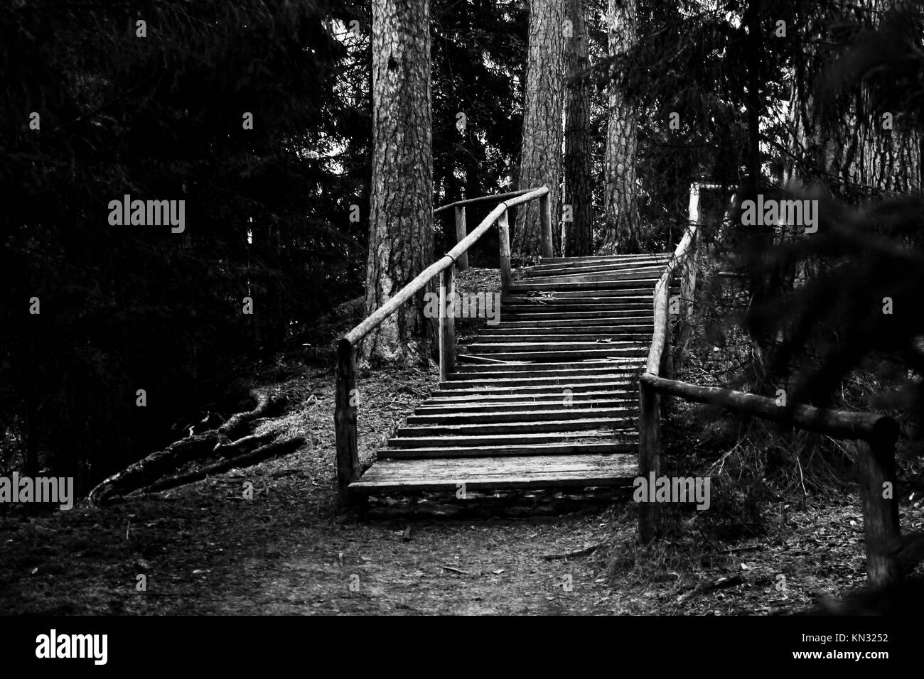 Stairs to nature hi-res stock photography and images - Alamy
