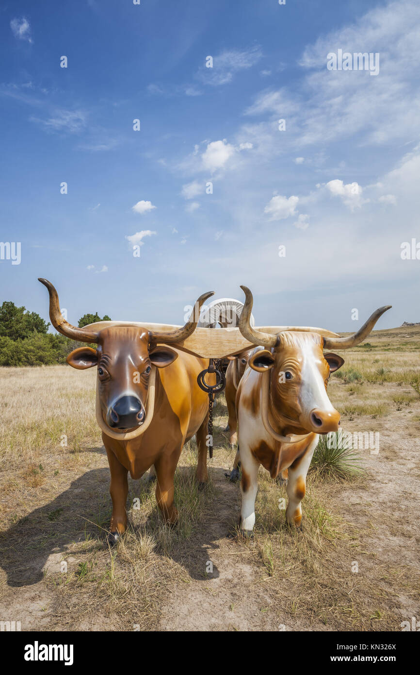 Oxen Pulling High Resolution Stock Photography and Images - Alamy