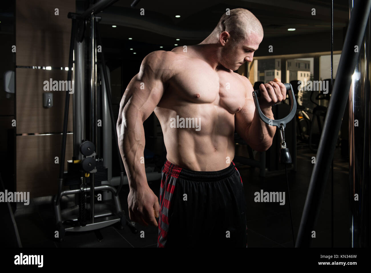 Man In The Gym Exercising On His Biceps On Machine With Cable In The ...