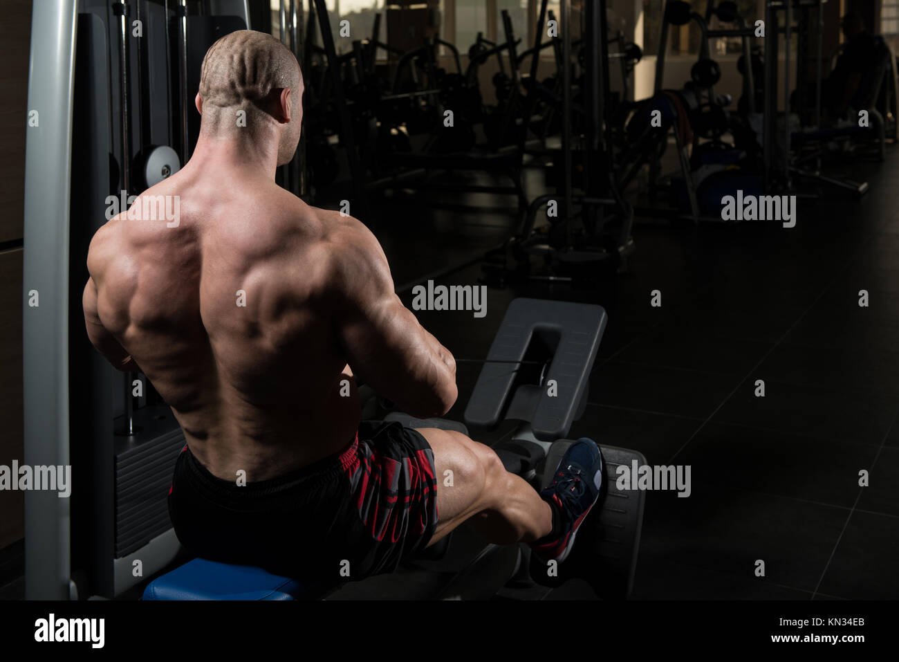 Handsome Bodybuilder Doing Heavy Weight Exercise For Back On Machine ...