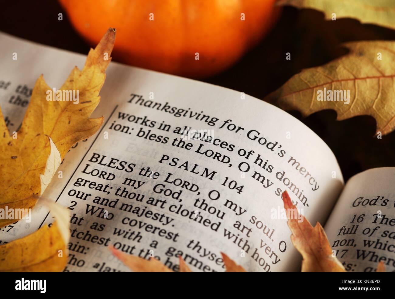 Bible leaf hi-res stock photography and images - Alamy