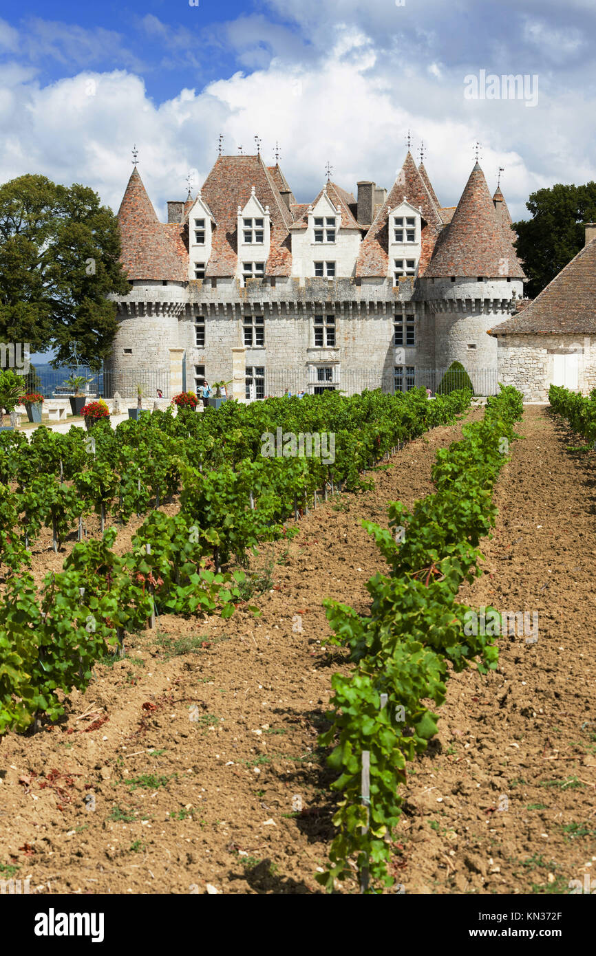 Bergerac, France Vineyard High Resolution Stock Photography and Images ...
