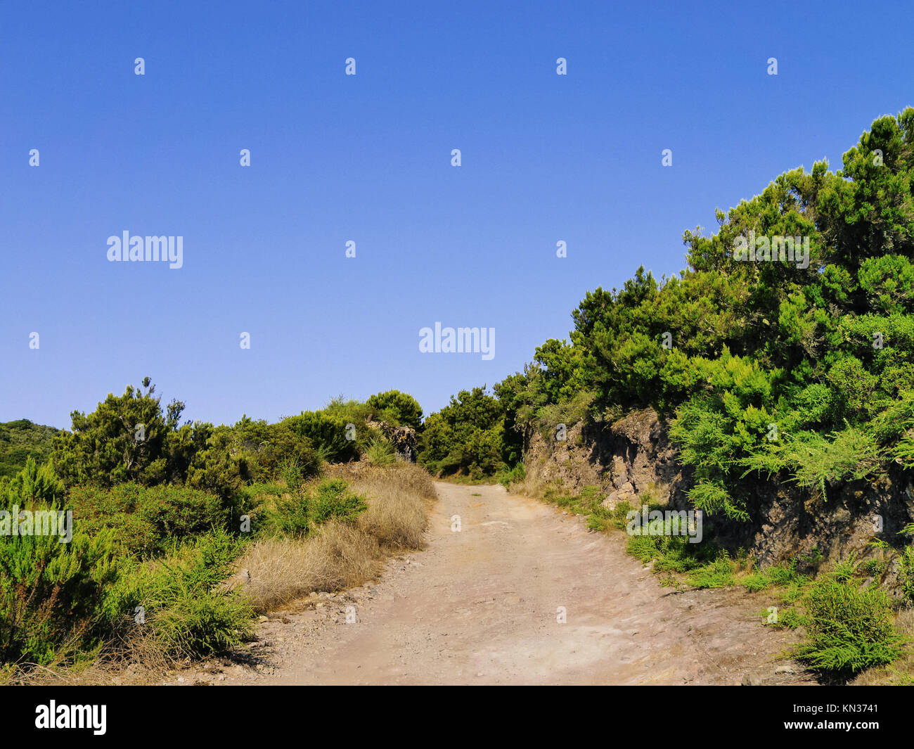 Garajonay national park waterfall hi-res stock photography and images ...