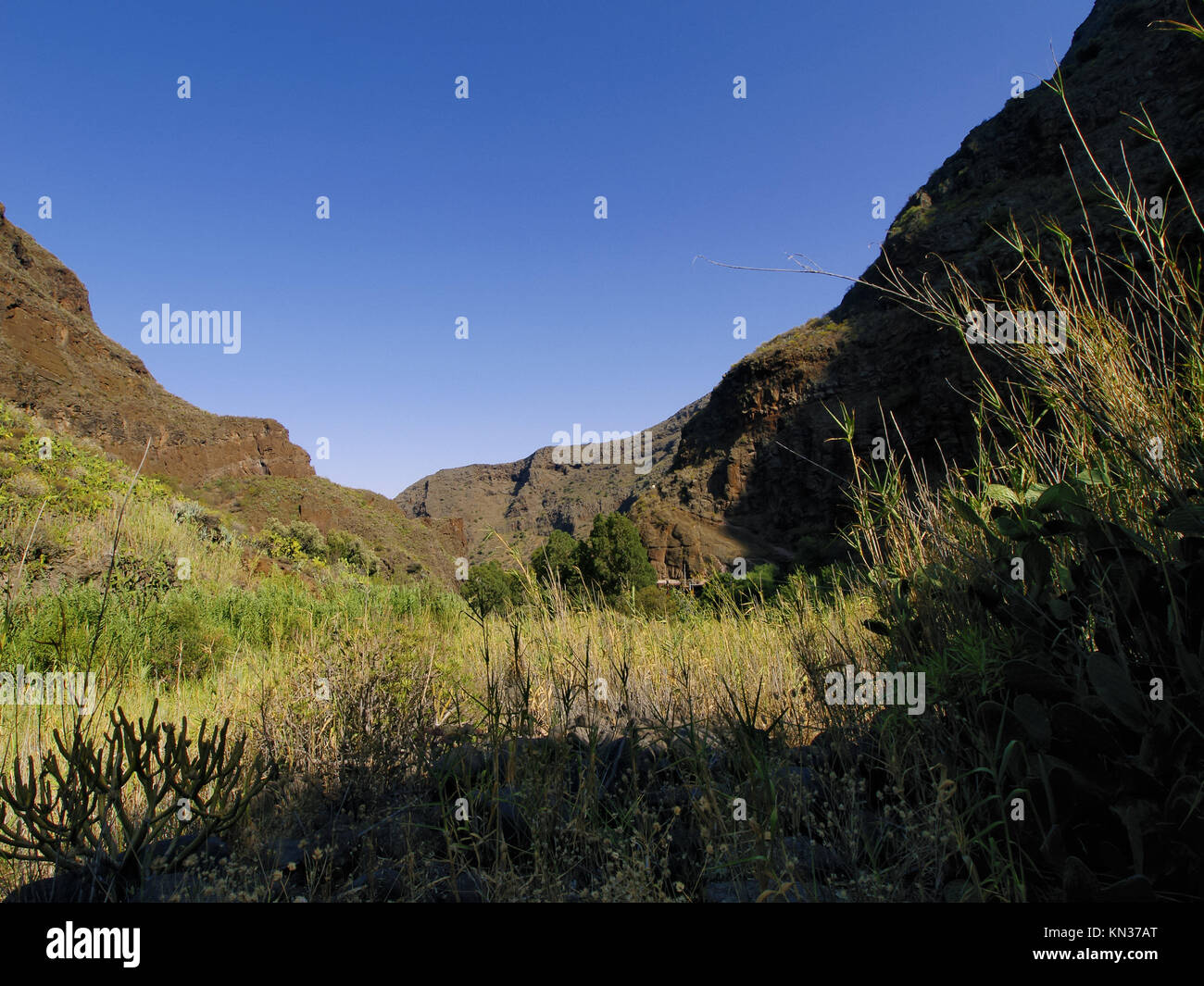 Barranco De Guayadeque Ravine Gran High Resolution Stock Photography ...