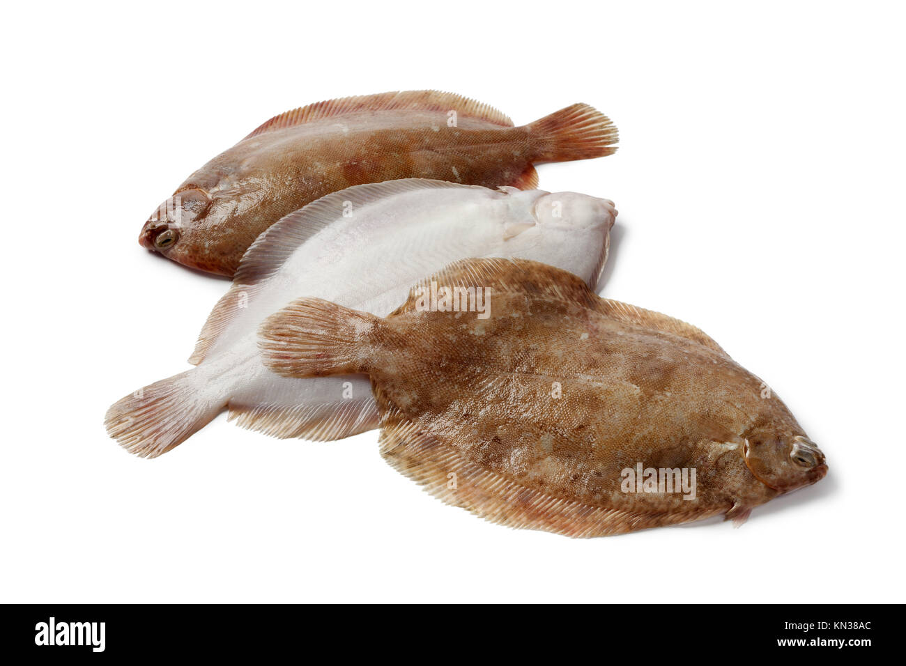 Lemon sole hi-res stock photography and images - Alamy
