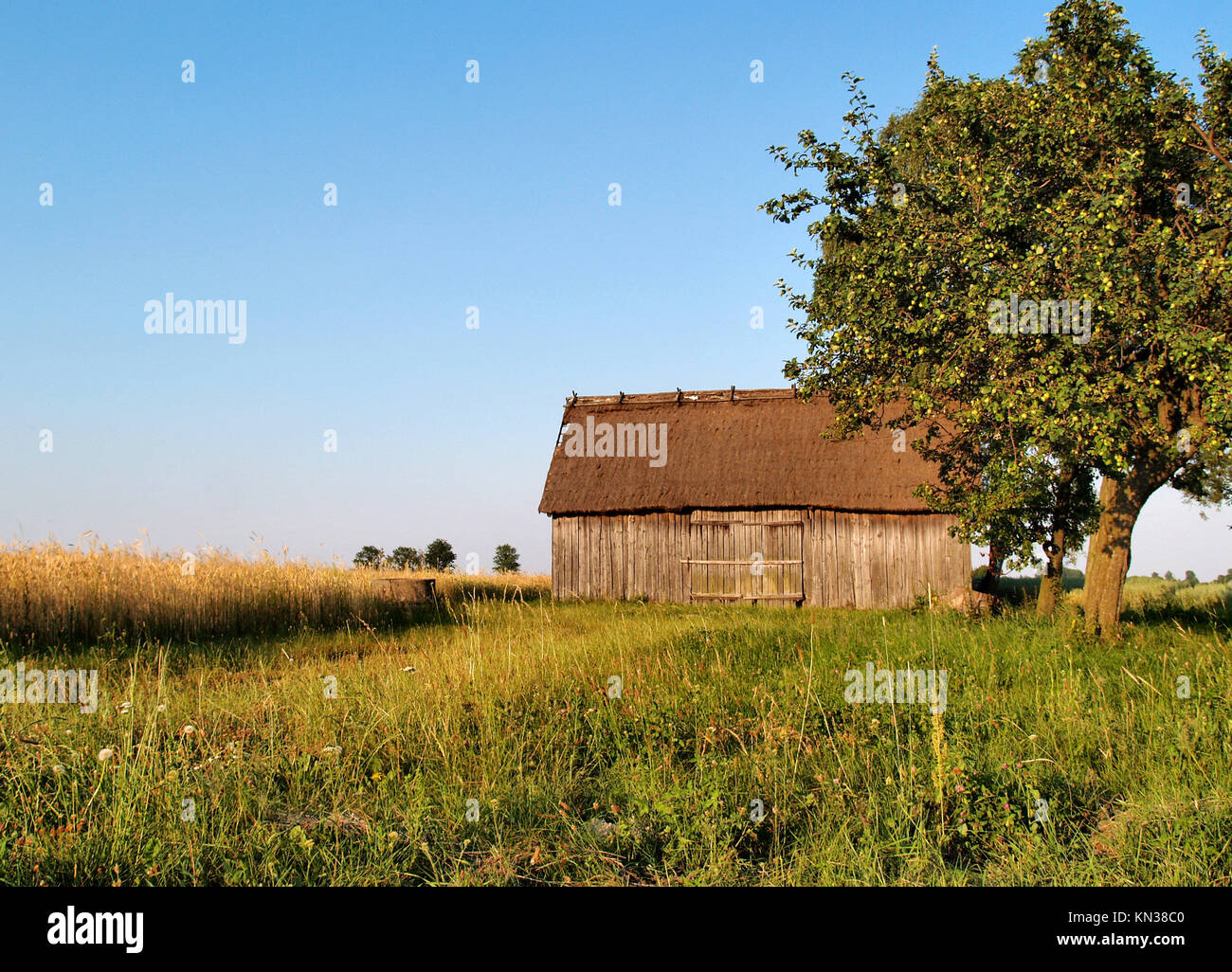 Small wooden barn hi-res stock photography and images - Alamy