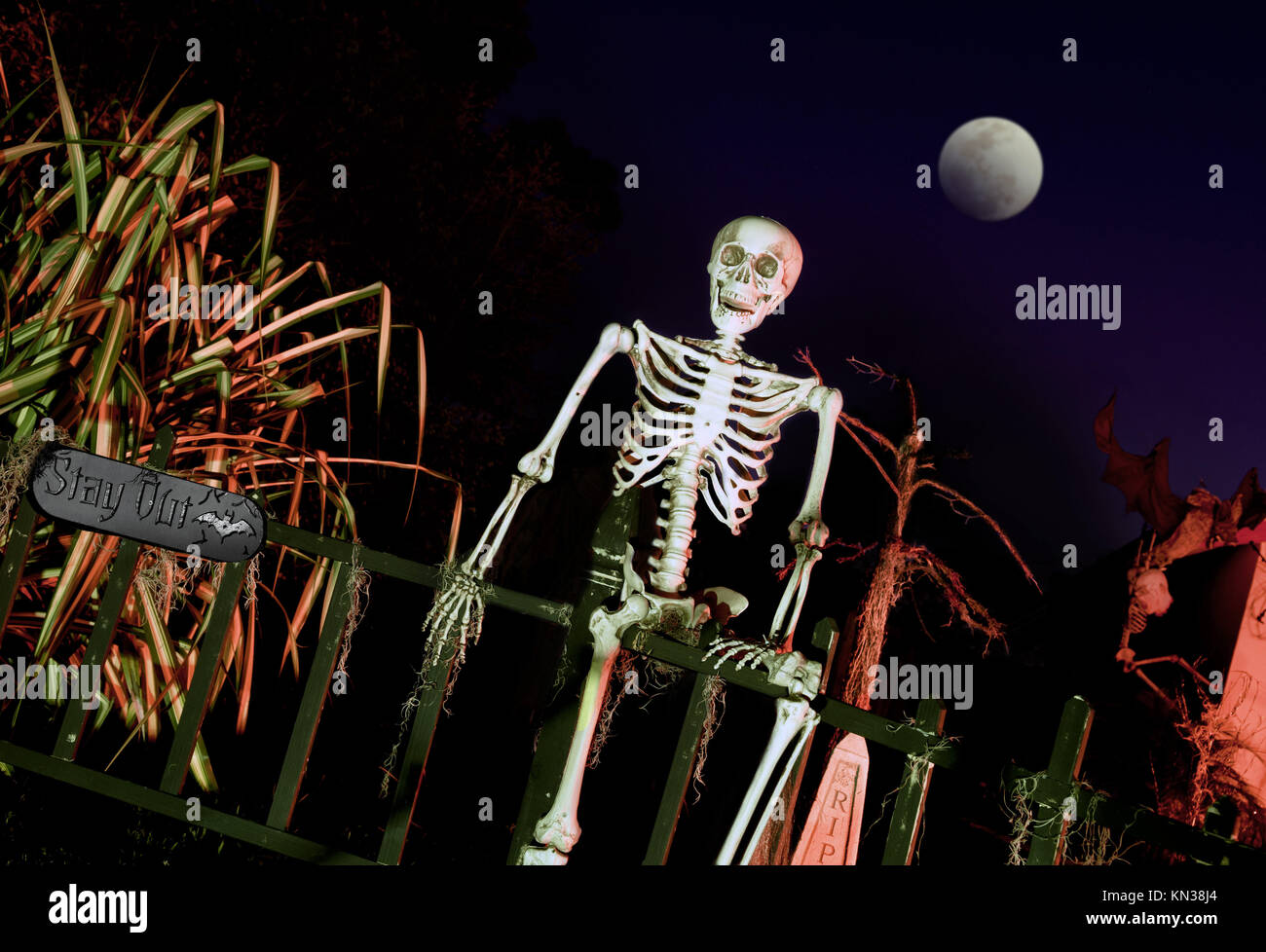 Creepy halloween night hi-res stock photography and images - Alamy
