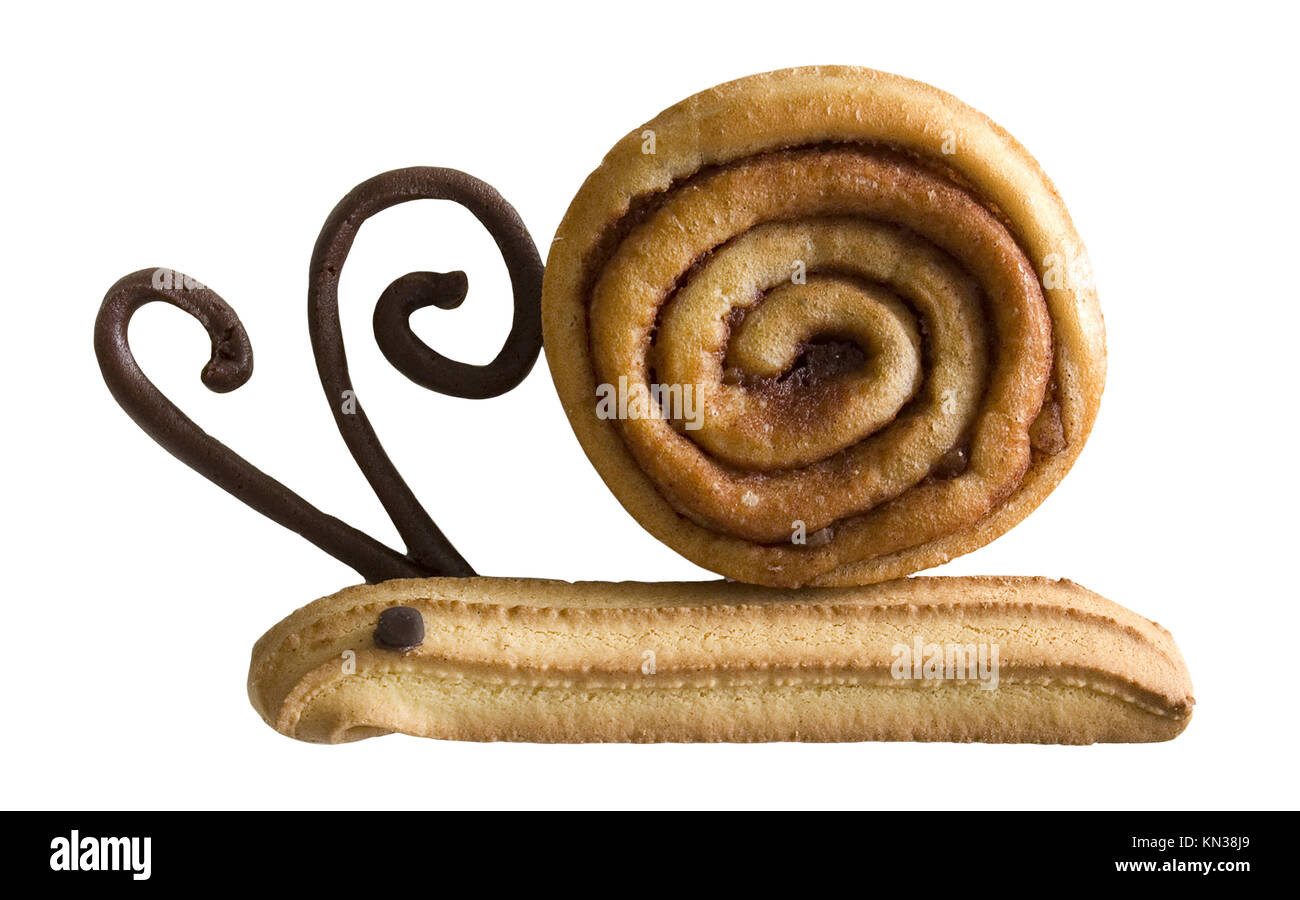 The cinnamon snail hi-res stock photography and images - Alamy