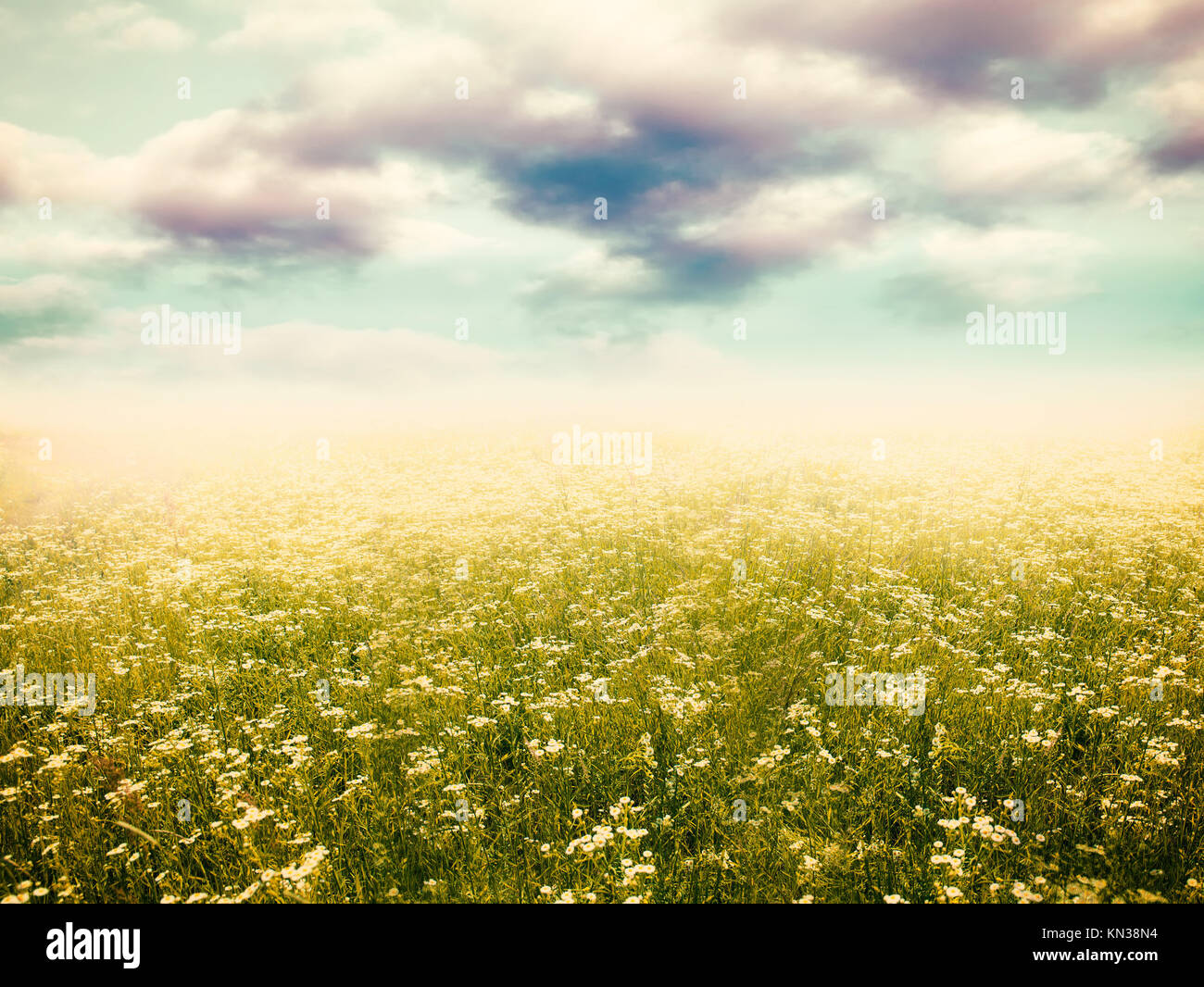 Dramatic meadow, natural landscape Stock Photo - Alamy