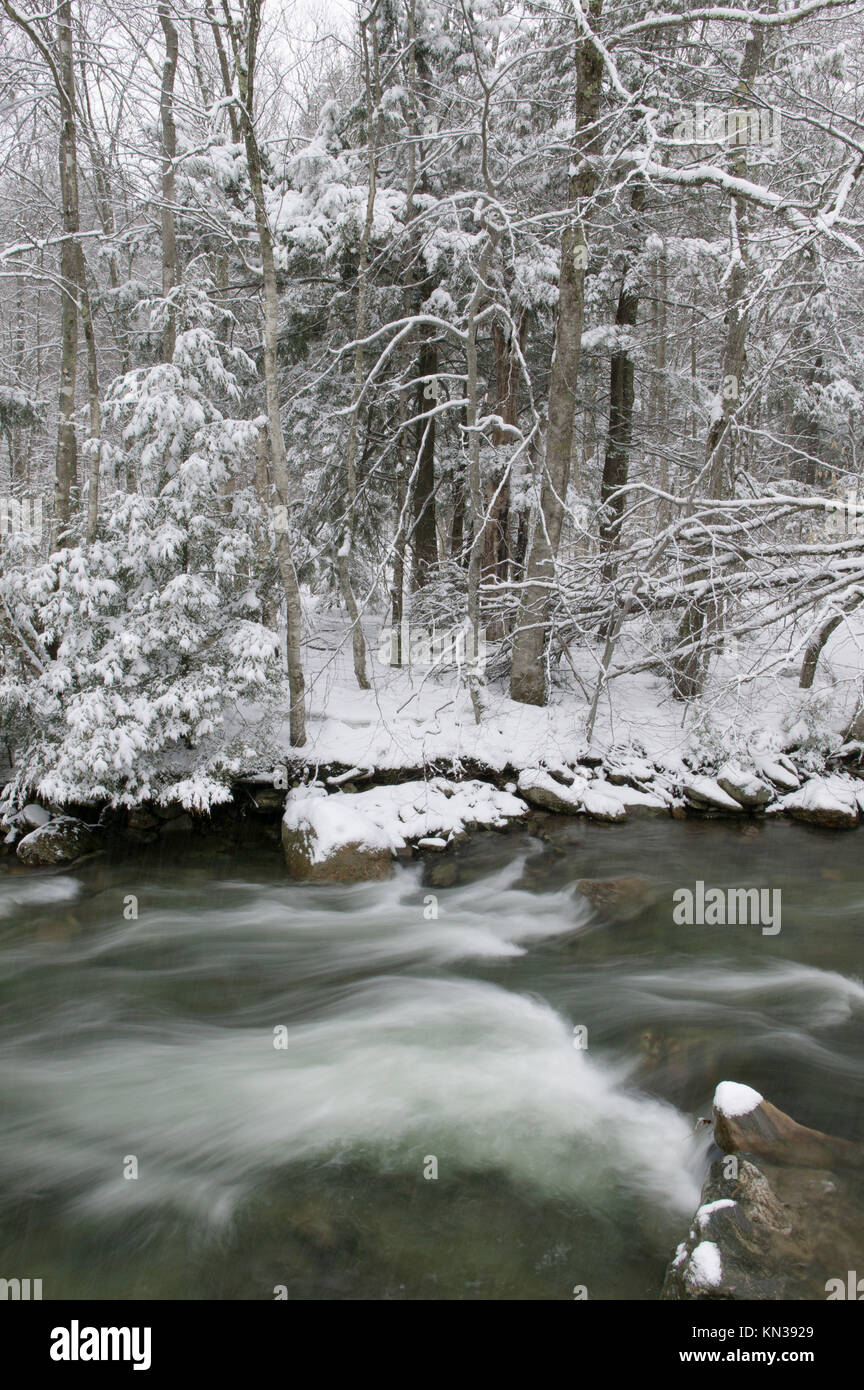 Stream trees snowfall cold temperature hi-res stock photography and ...