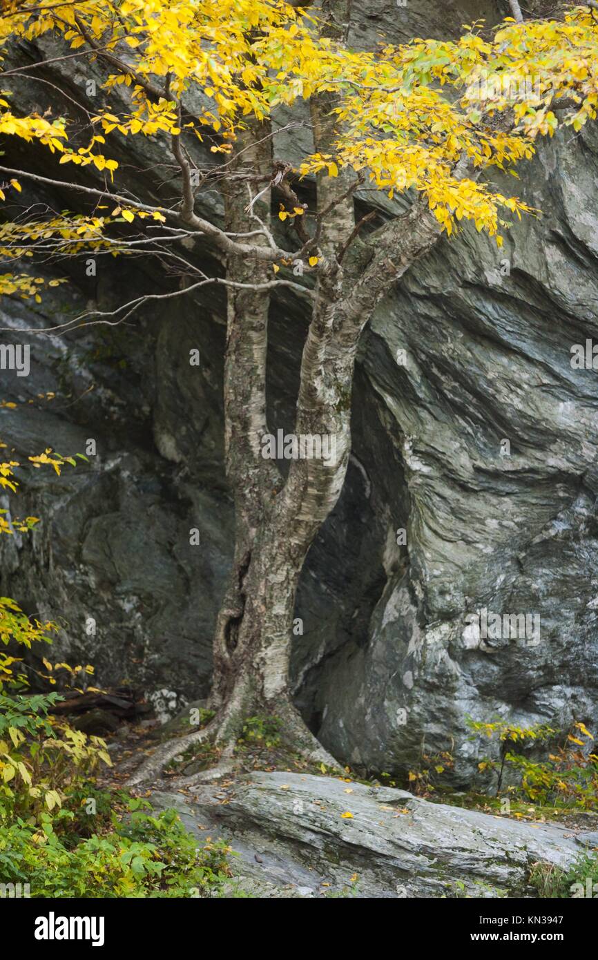 Fall leaf peeping stowe vermont hi-res stock photography and images - Alamy