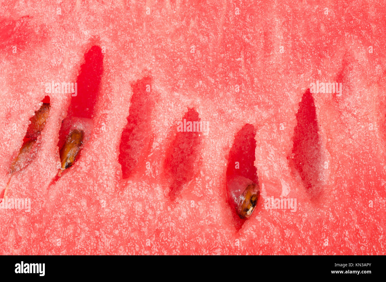Watermelon texture hi-res stock photography and images - Alamy