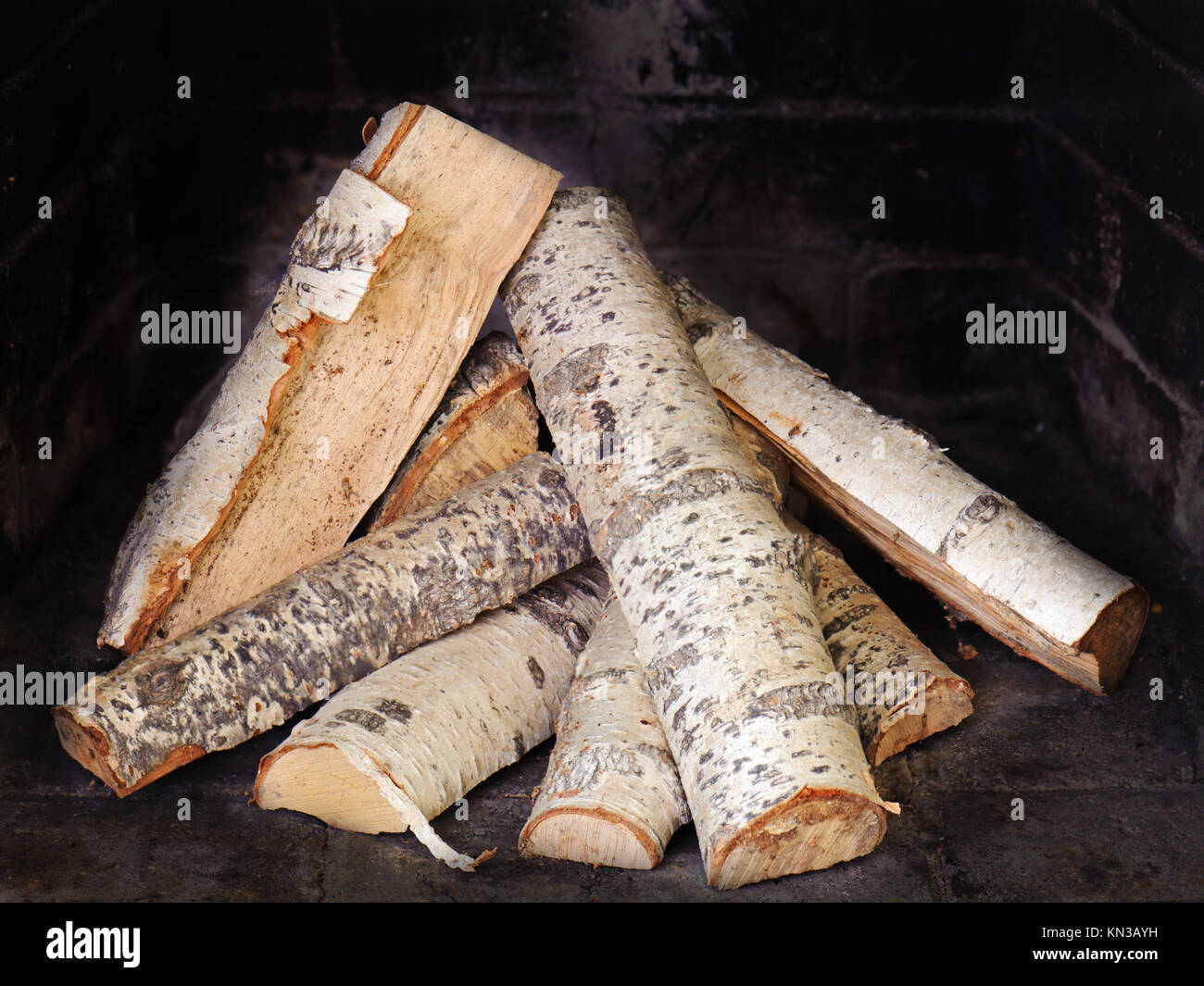 Burnt Birch Tree High Resolution Stock Photography and Images - Alamy