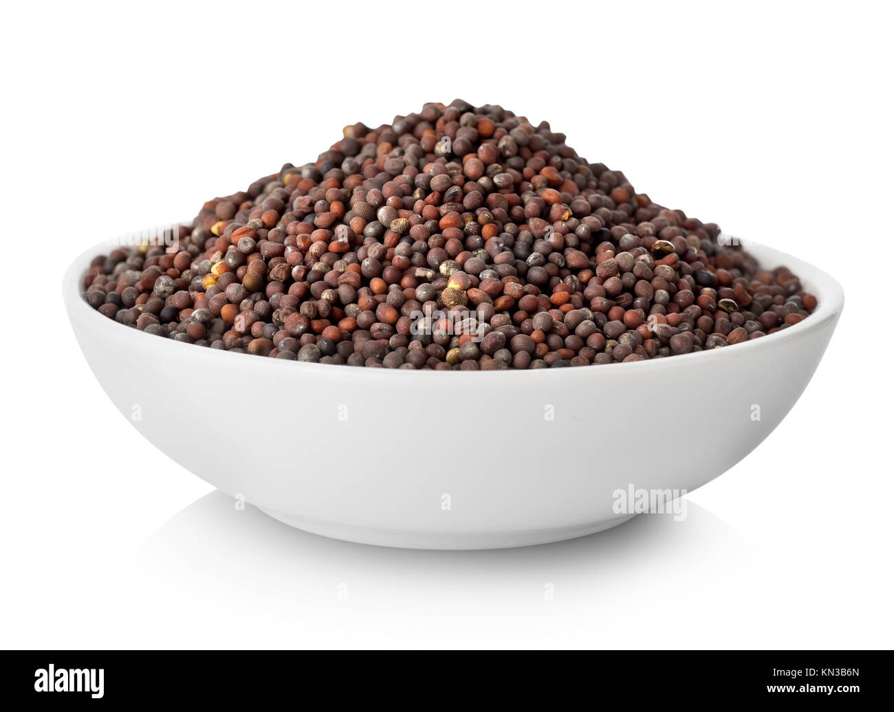 Mustard seed isolated hi-res stock photography and images - Alamy