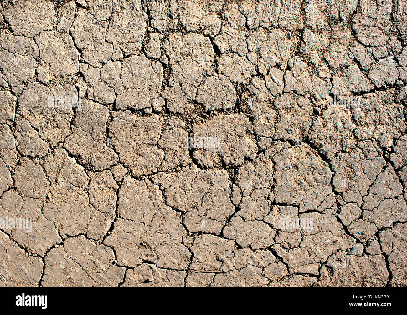 Desert ground close up hi-res stock photography and images - Alamy