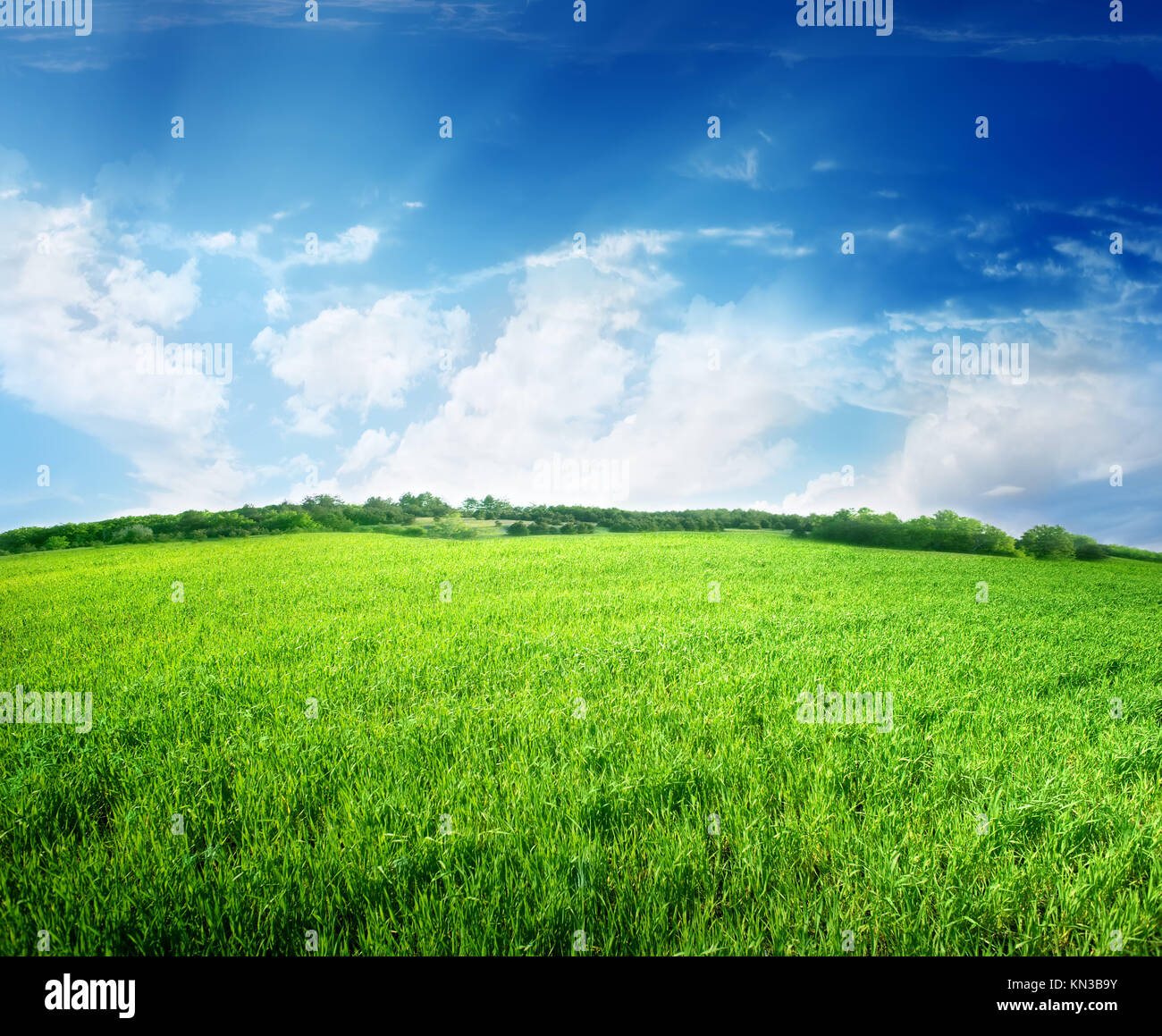Blue green sun hi-res stock photography and images - Alamy
