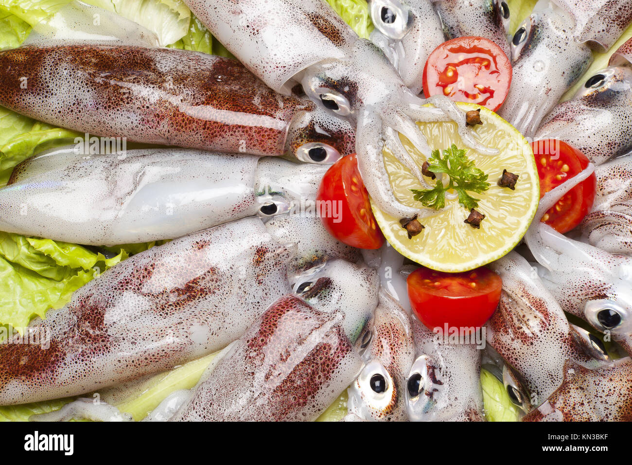 Squid catch hi-res stock photography and images - Alamy