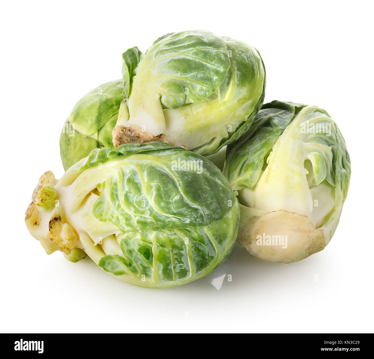 Brussel sprouts isolated on a white background Stock Photo - Alamy