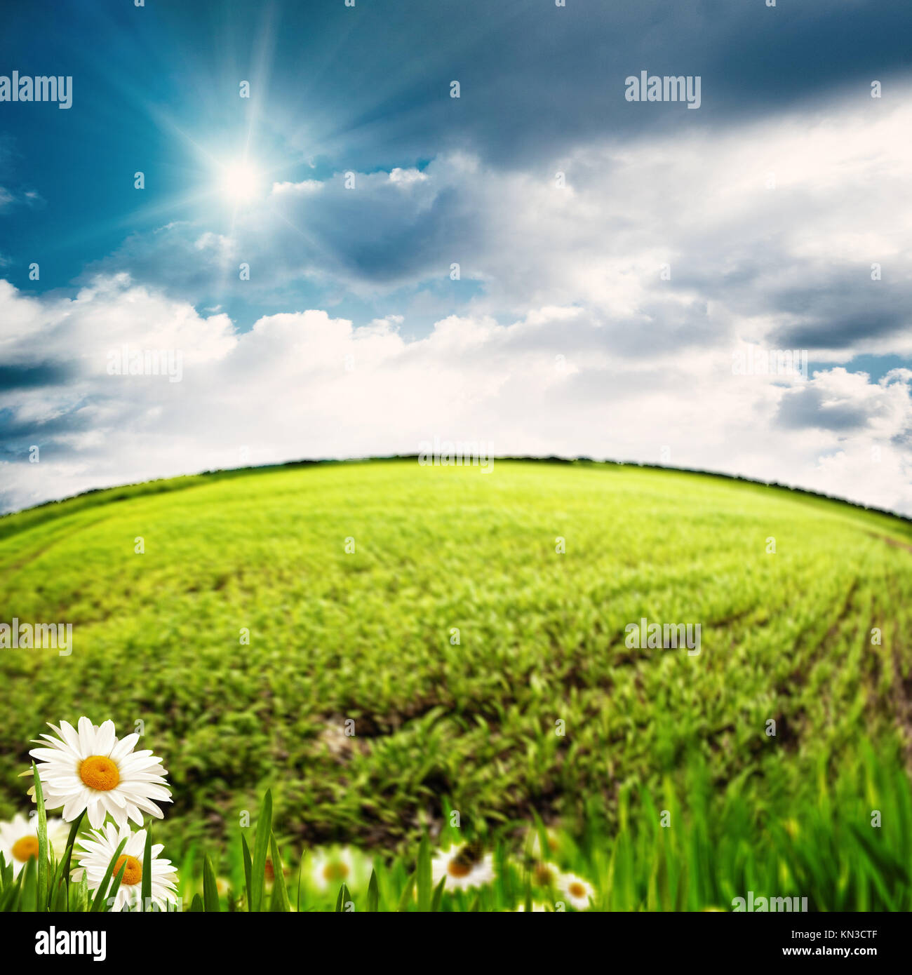 Beauty summer day on the farm, natural backgrounds Stock Photo - Alamy