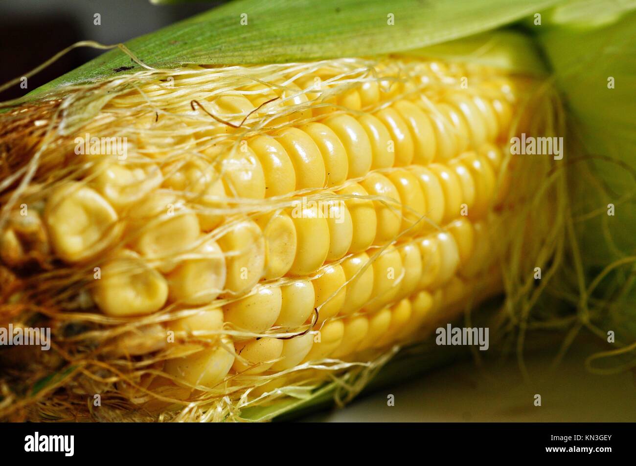 Closeup india poona hi-res stock photography and images - Alamy