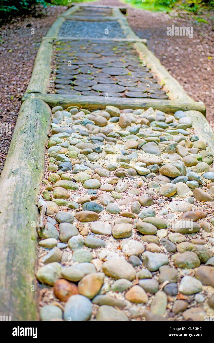 Barefoot running track hi-res stock photography and images - Alamy