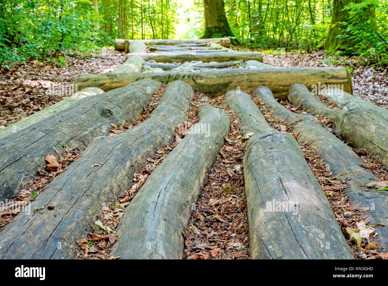 Barefoot running track hi-res stock photography and images - Alamy