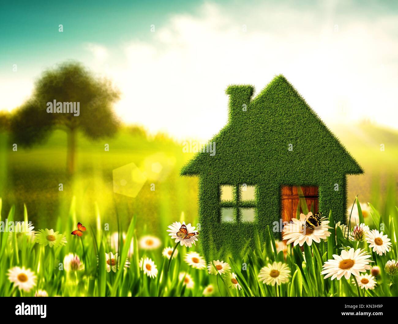 Green House. Abstract environmental backgrounds Stock Photo - Alamy