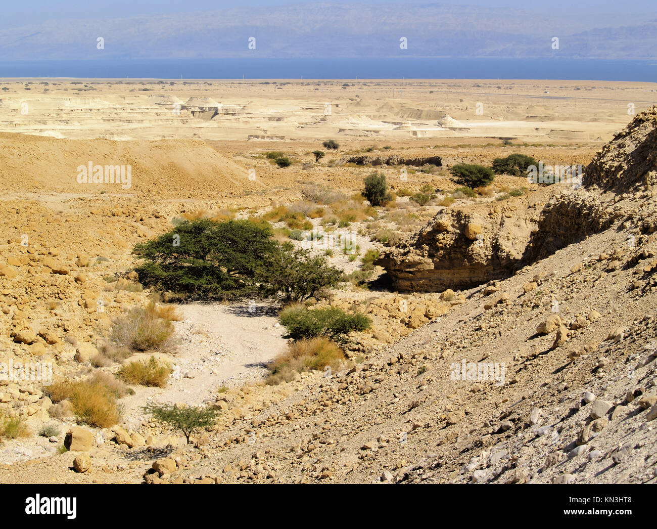Negev desert israel barren land hi-res stock photography and images - Alamy