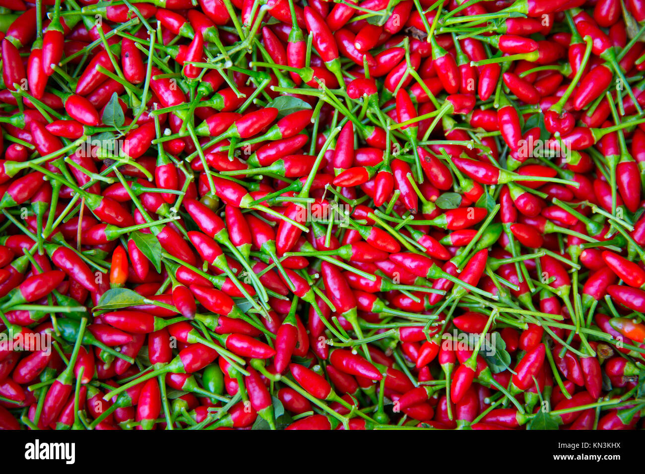 Little chili pepper hi-res stock photography and images - Alamy