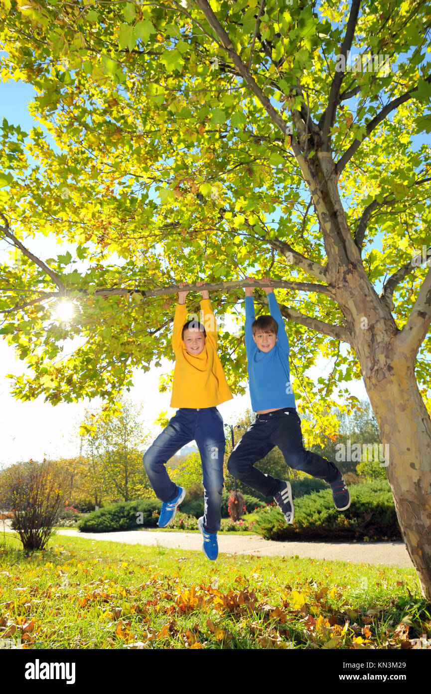 Boy hanging from tree branch hi-res stock photography and images - Alamy