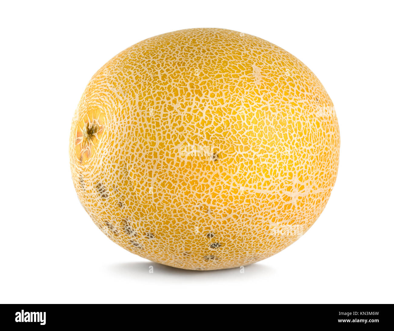 Ripe cantaloupe isolated on a white background Stock Photo - Alamy