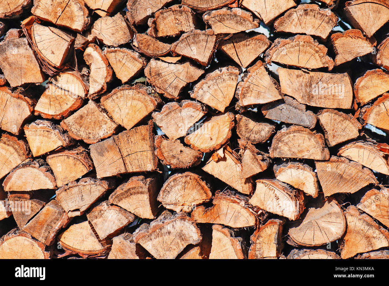Oak log hi-res stock photography and images - Alamy