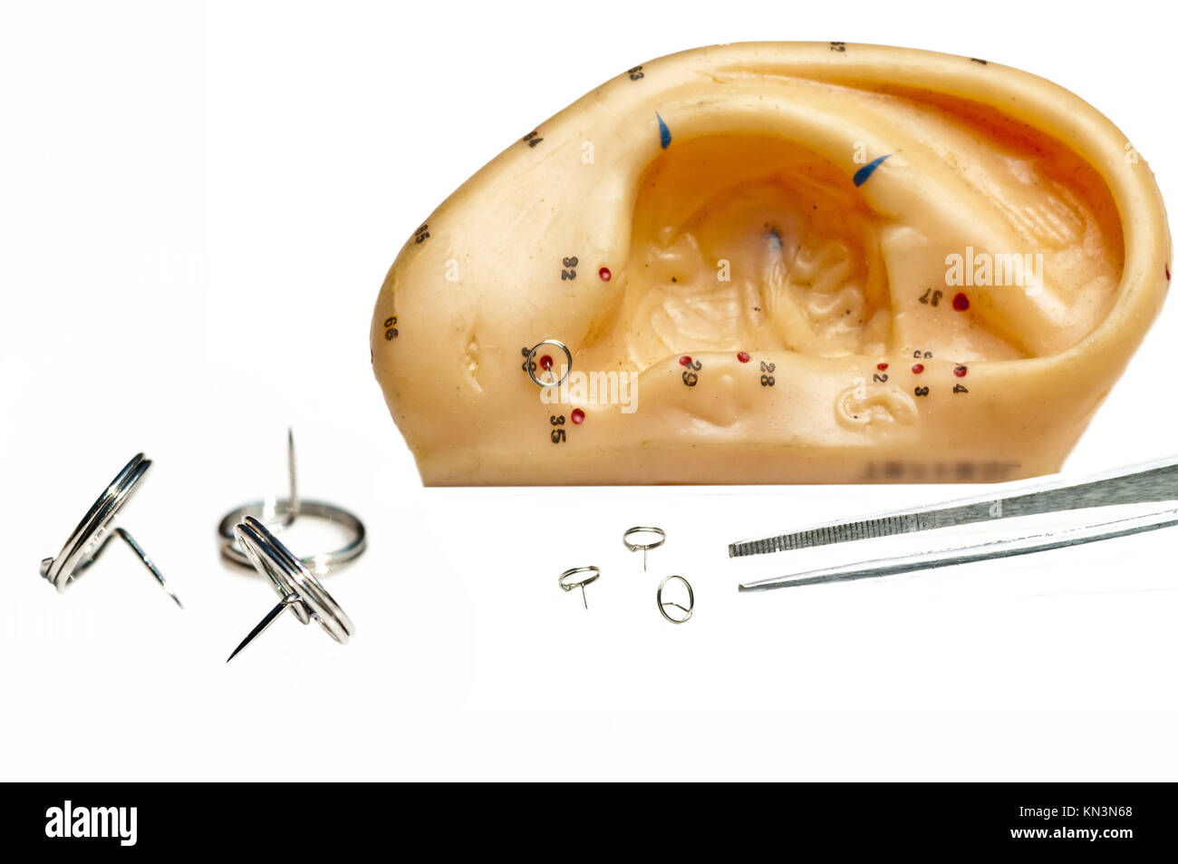 Ear acupuncture hi-res stock photography and images - Alamy