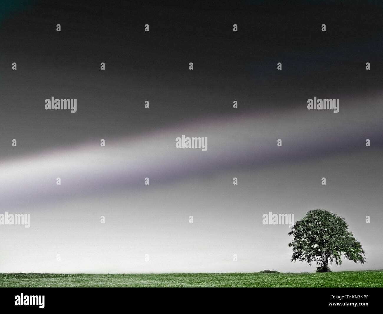 Old oak beam hi-res stock photography and images - Alamy